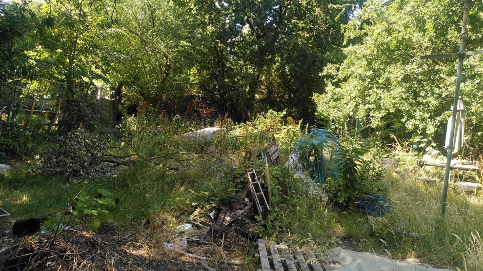 Newham Council at a crossroads, warns new chief executive - Newham Voices